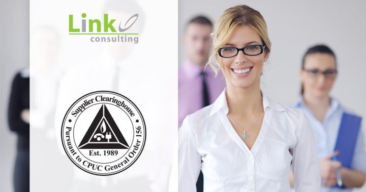 Link Consulting Services Certified as Women Business Enterprise by The ...